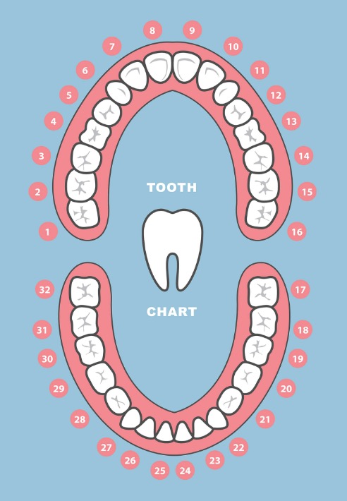 Mountain View Dentist | John L. Burch DDS | Mountain View Dental